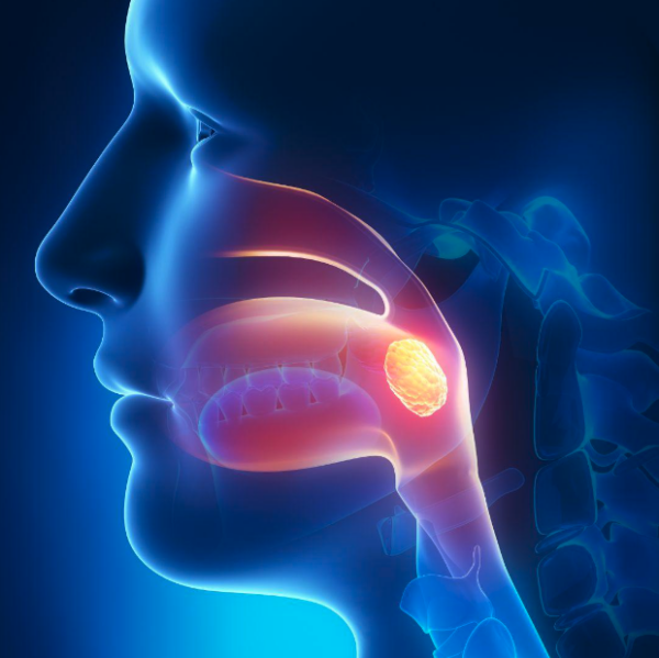 What Kind Of Doctor Removes Tonsils: What To Know | ENT & Sleep Specialists